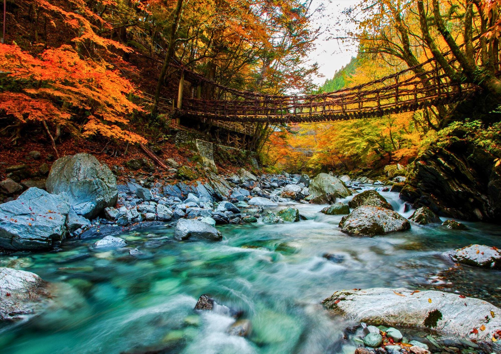 Japan – BLISS TRAVEL